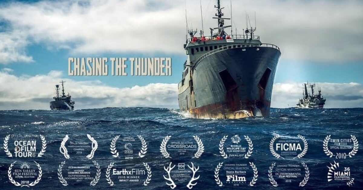 | Destination Tiburon